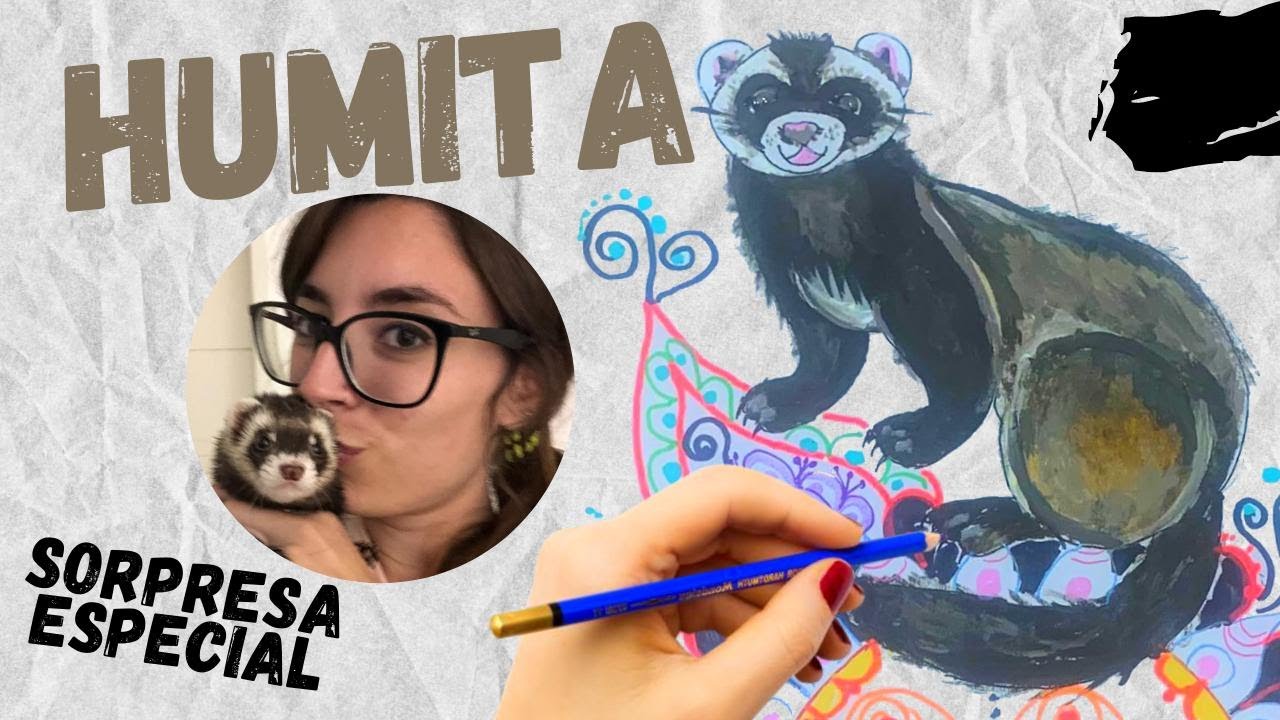 COMO DIBUJAR A HUMITA LA HURONA DE LYNA + Sorpresa especial de @Lyna ...