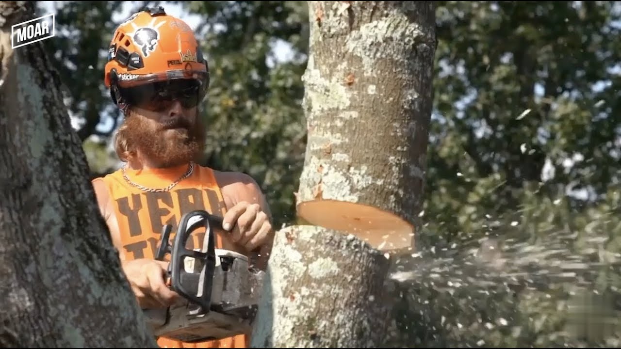 The Hippie Tree Cutters of New Orleans - [Yeah Trees] - Documentary ...