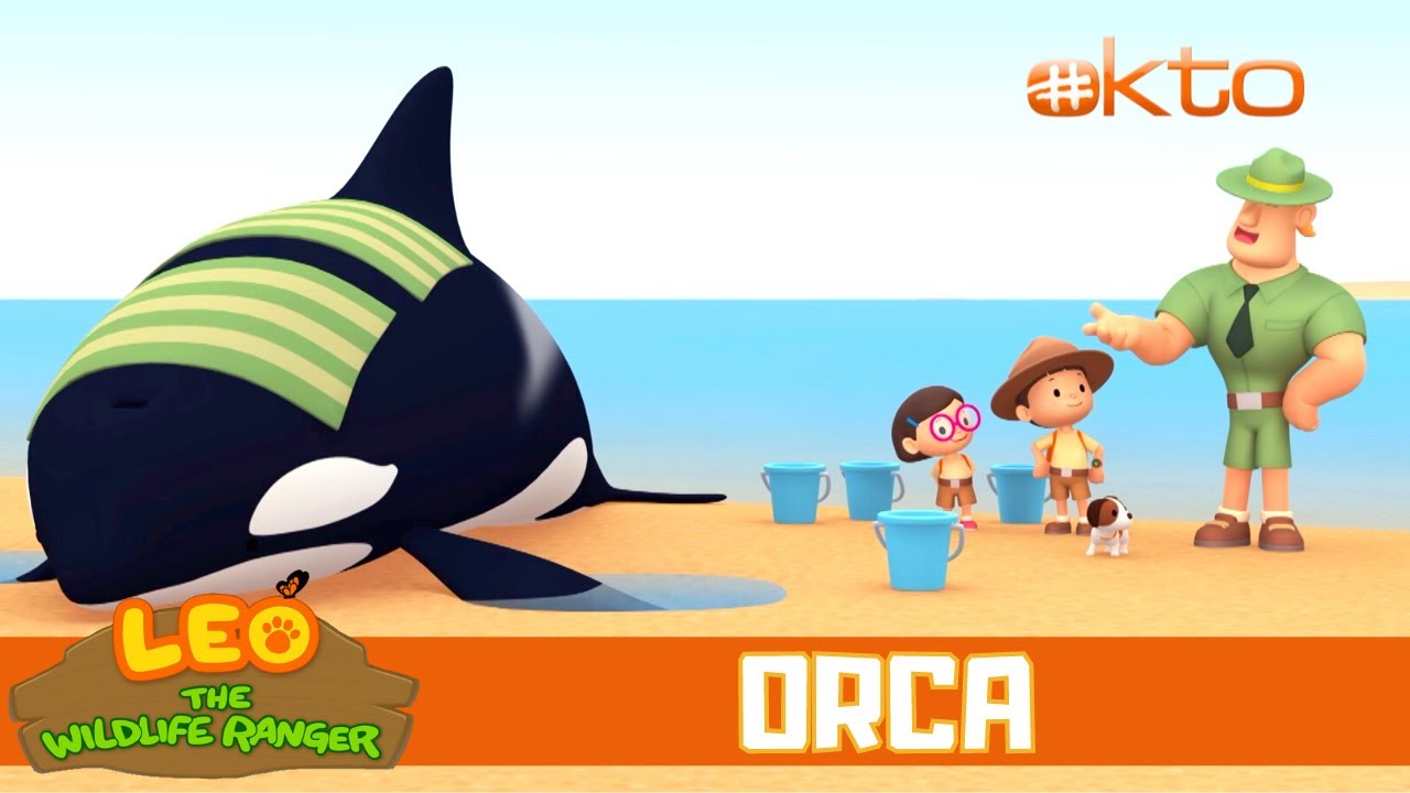 Leo Needs To Keep The Orca Alive! | Leo the Wildlife Ranger | Cartoons ...