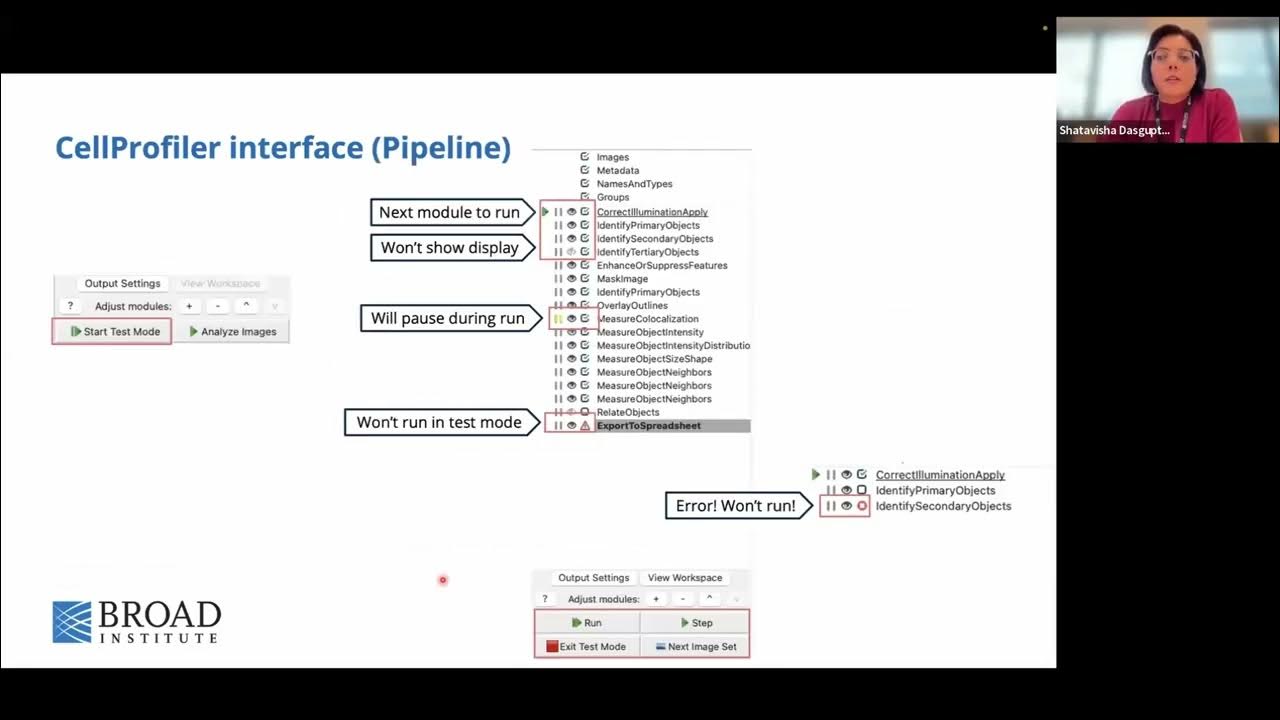 Introduction to Cell Profiler: A beginner’s guide to segmentation - YouTube