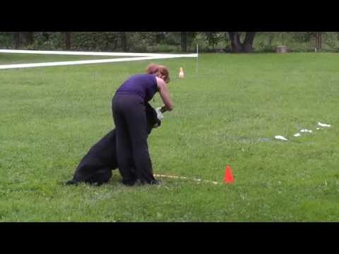 Чемпионат НКП ВЕО 2015 по ОКД и ЗКС.