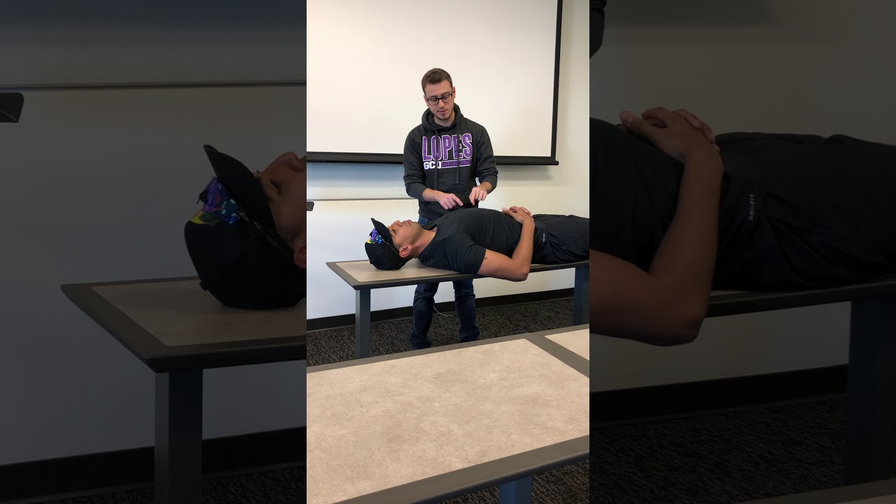 Rectus Abdominis - Manual Muscle Testing - YouTube