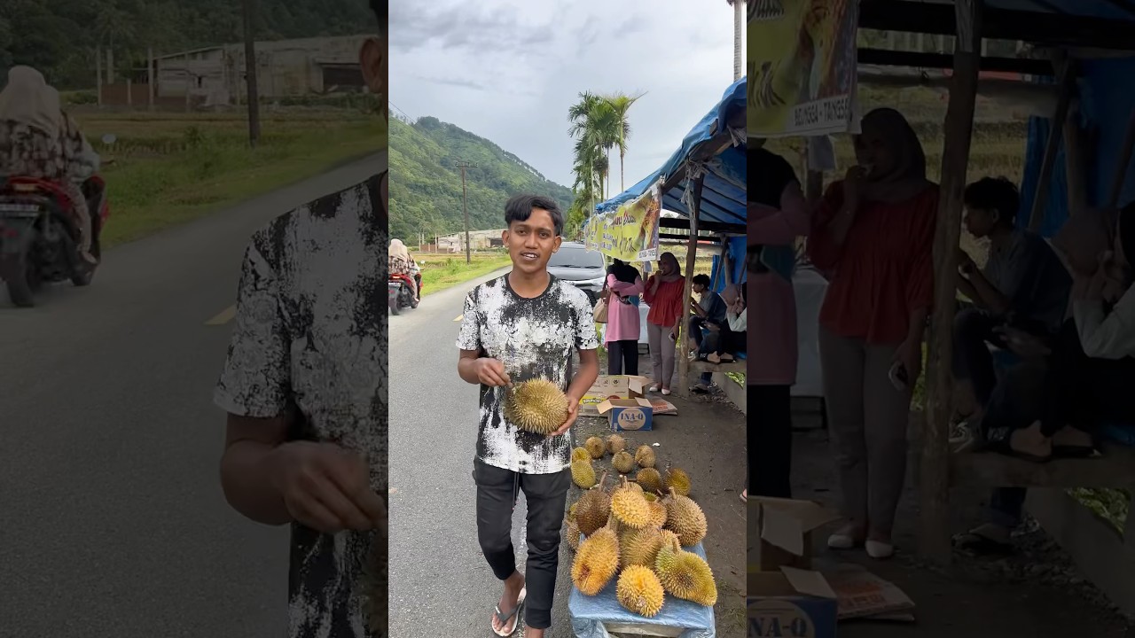 Durian beungga tangse Aceh #shorts #durianaceh #durianbeungga #pidie ...