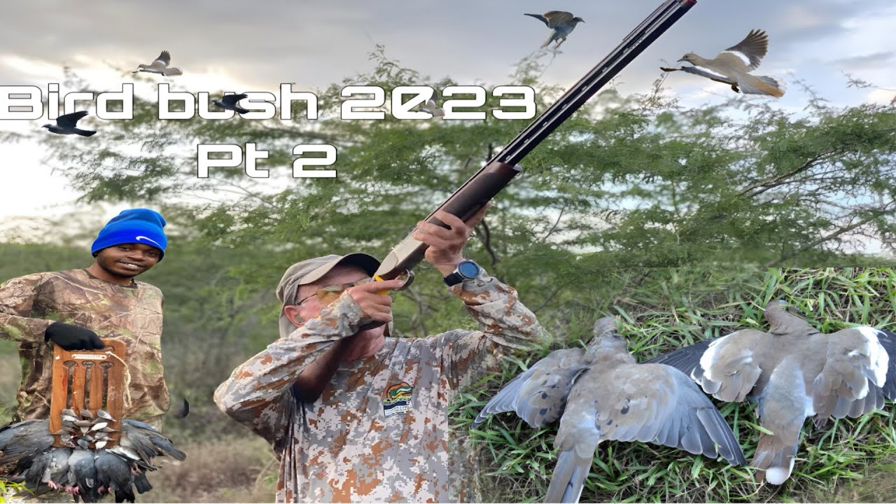 Dove shooting 2023 second weekend must watch - YouTube