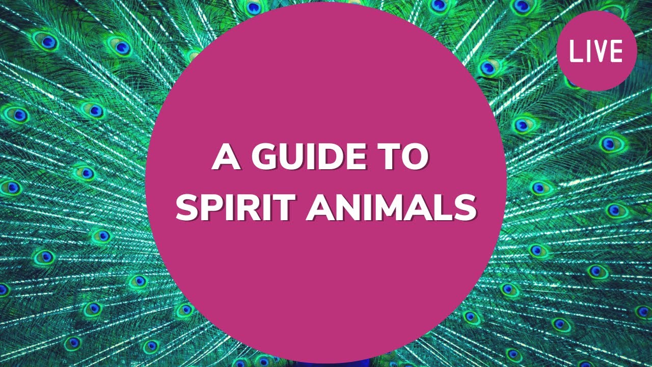 LIVE | A Guide To Spirit Animals And Their Meanings - YouTube