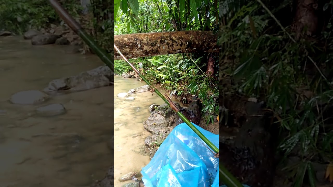 Lata tebing tinggi - YouTube