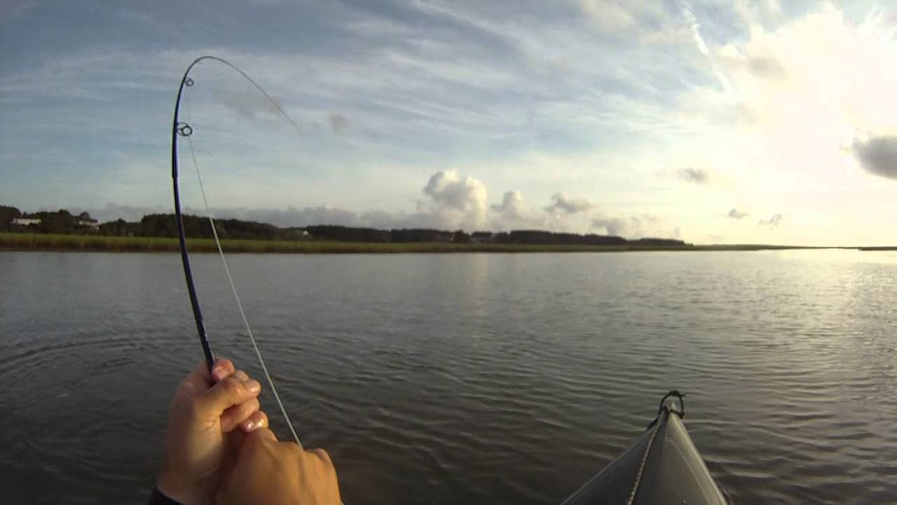 I hate Lady Fish - YouTube