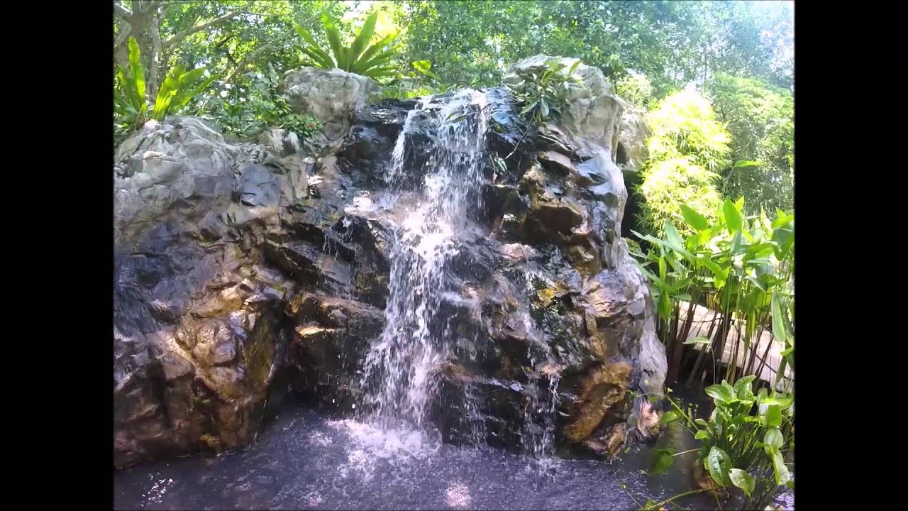 Singapore Botanic Gardens Waterfall and Ginger Garden - YouTube