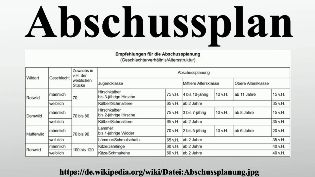 Abschussplan - YouTube