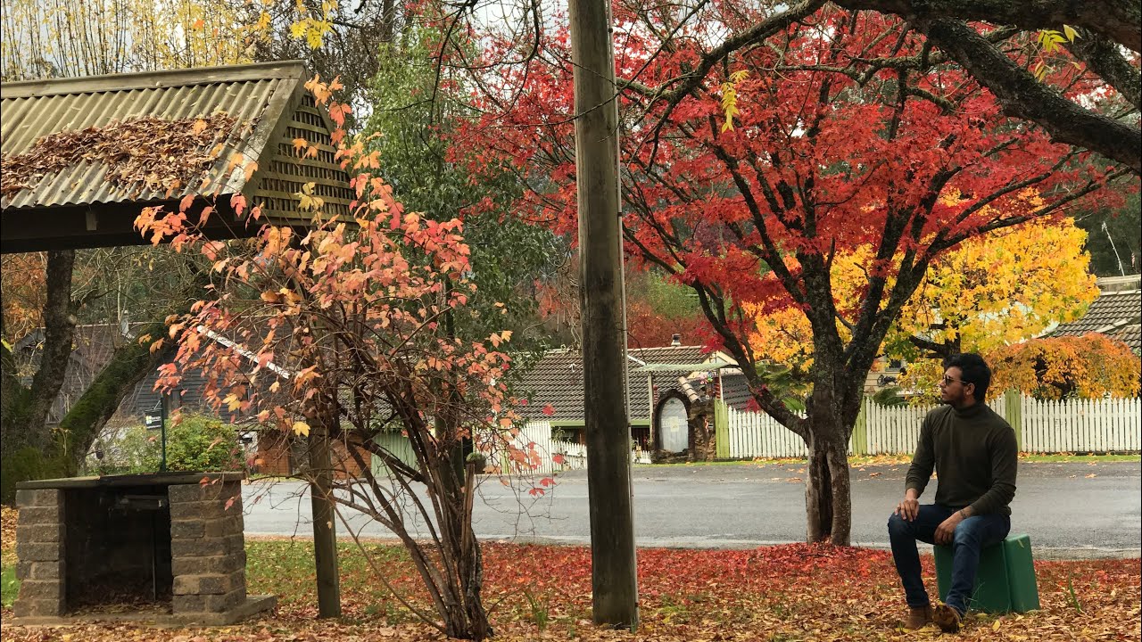 Bright, Victoria , Australia video/ Autumn in Bright video (full video ...