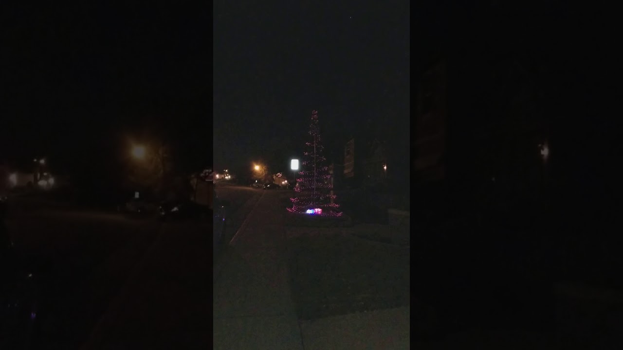 CWC 2017 Christmas Tree - YouTube