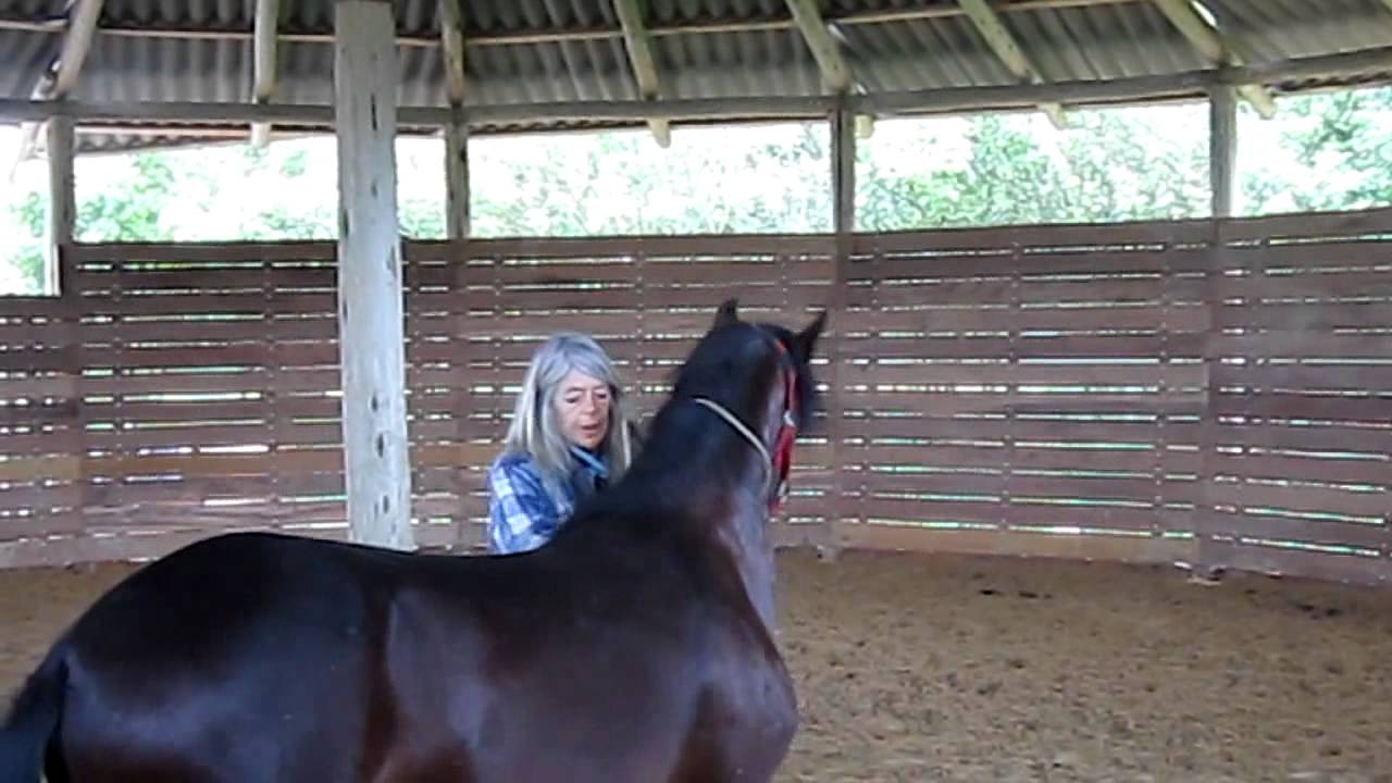 Lucy Rees en Tenjo Cundinamarca 1 - YouTube