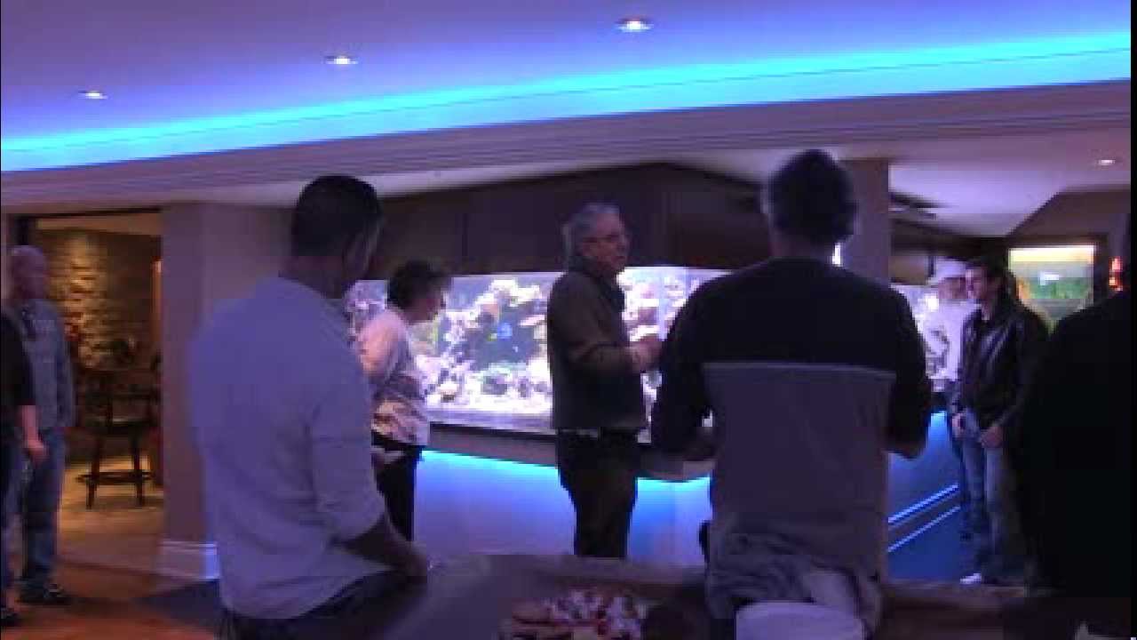 Peter's Fish Tank - Episode 4 - Open House - YouTube
