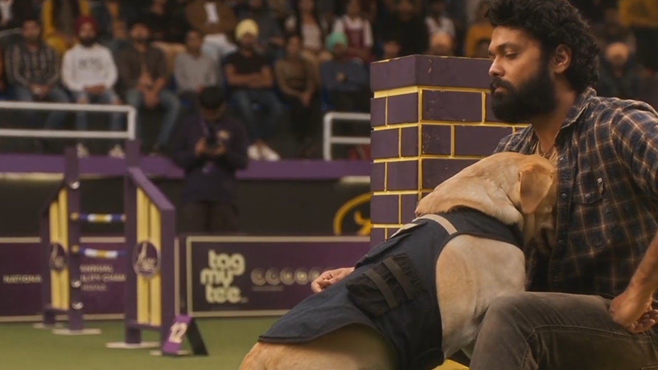 777 Charlie Full movie emotional scene 😔||Put dogs and humans Story ...