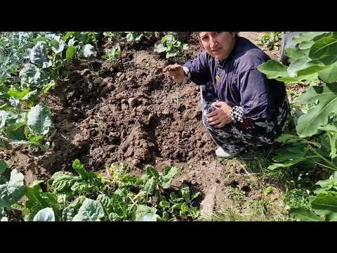 BEN BU KADAR SANKI YORULMADIM😔😔😔