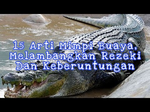 15 Arti Mimpi Buaya Melambangkan Rezeki Dan Keberuntungan?