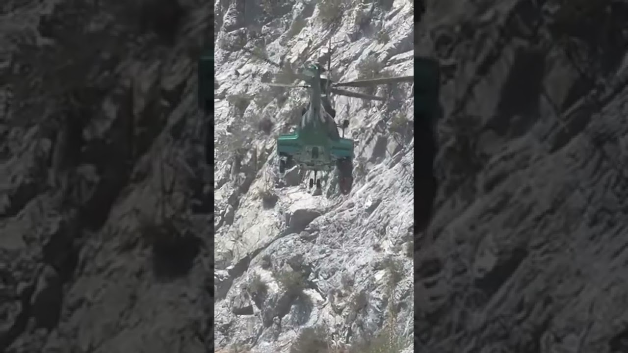 LASD Air Rescue 5 Save a Man and His Dog - YouTube