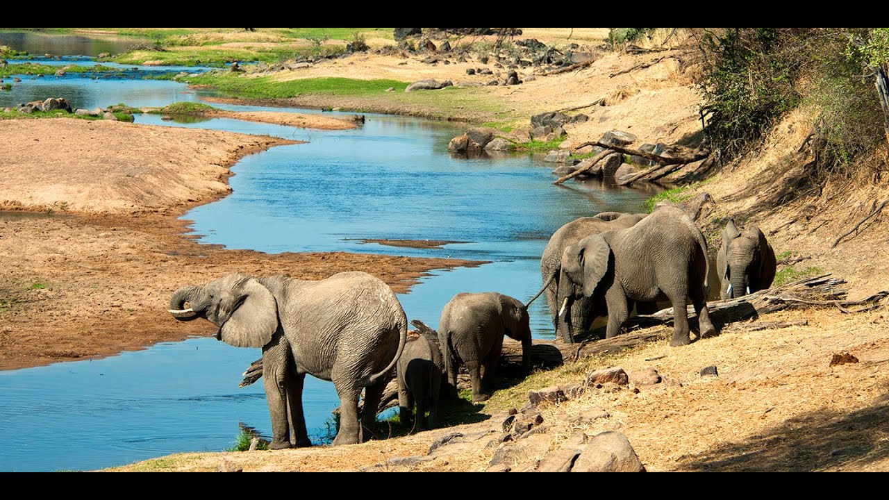 THE GREAT RUAHA RIVER UFAHAMU MTO RUAHA MKUU - YouTube