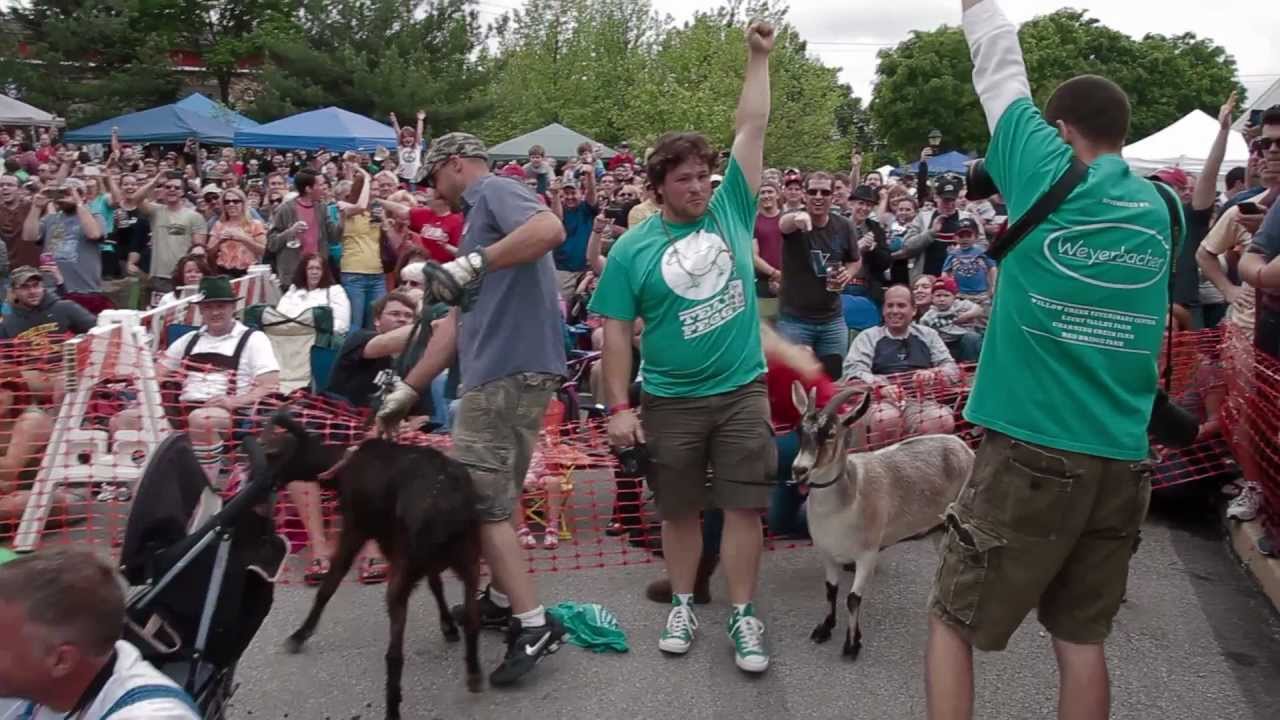Sly Fox Brewing Company Bock Fest and Goat Races 2013 - YouTube