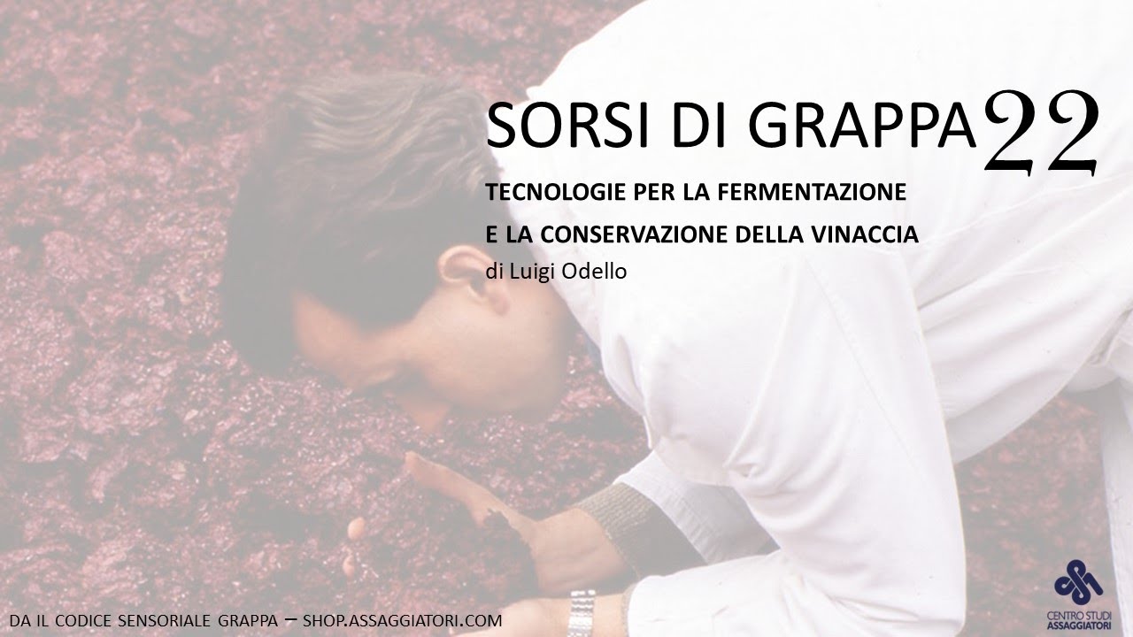 Tecnologie per la fermentazione e la conservazione della vinaccia | Sorsi di grappa EP.22 - YouTube