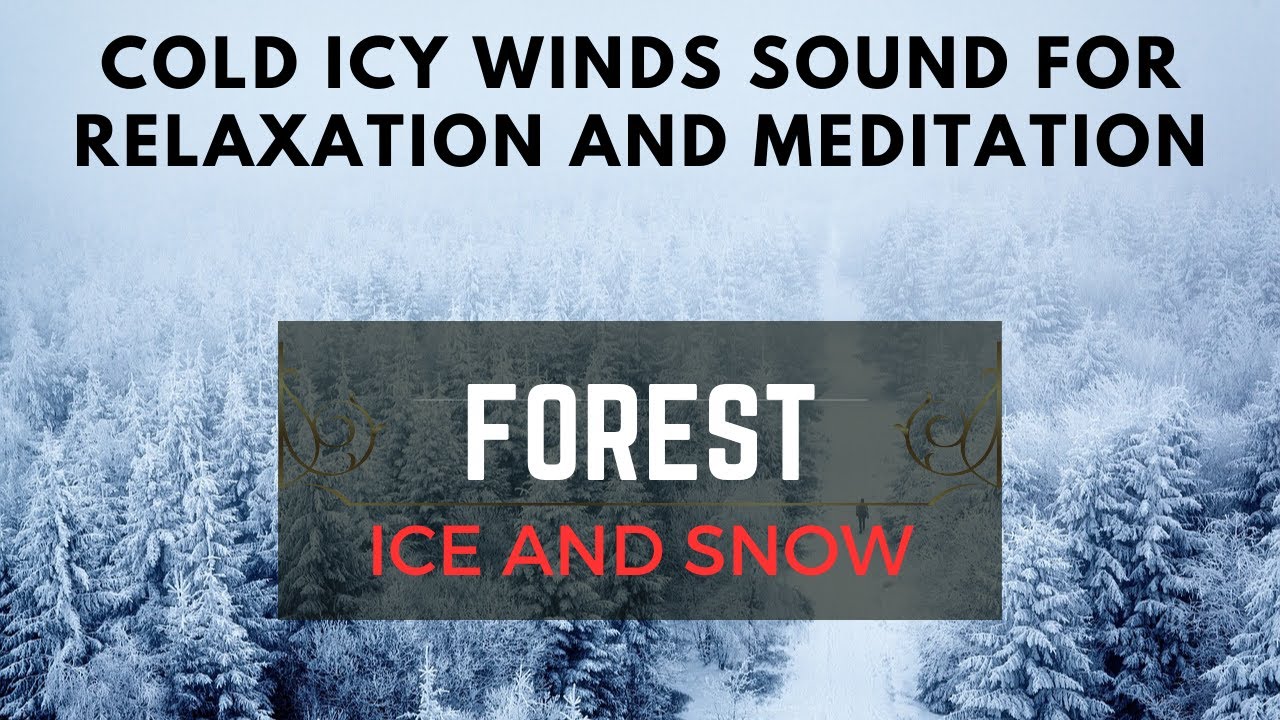 Forest Ice and Snow - Ice Clips for Ice Lovers | Cold Icy Winds Sound ...