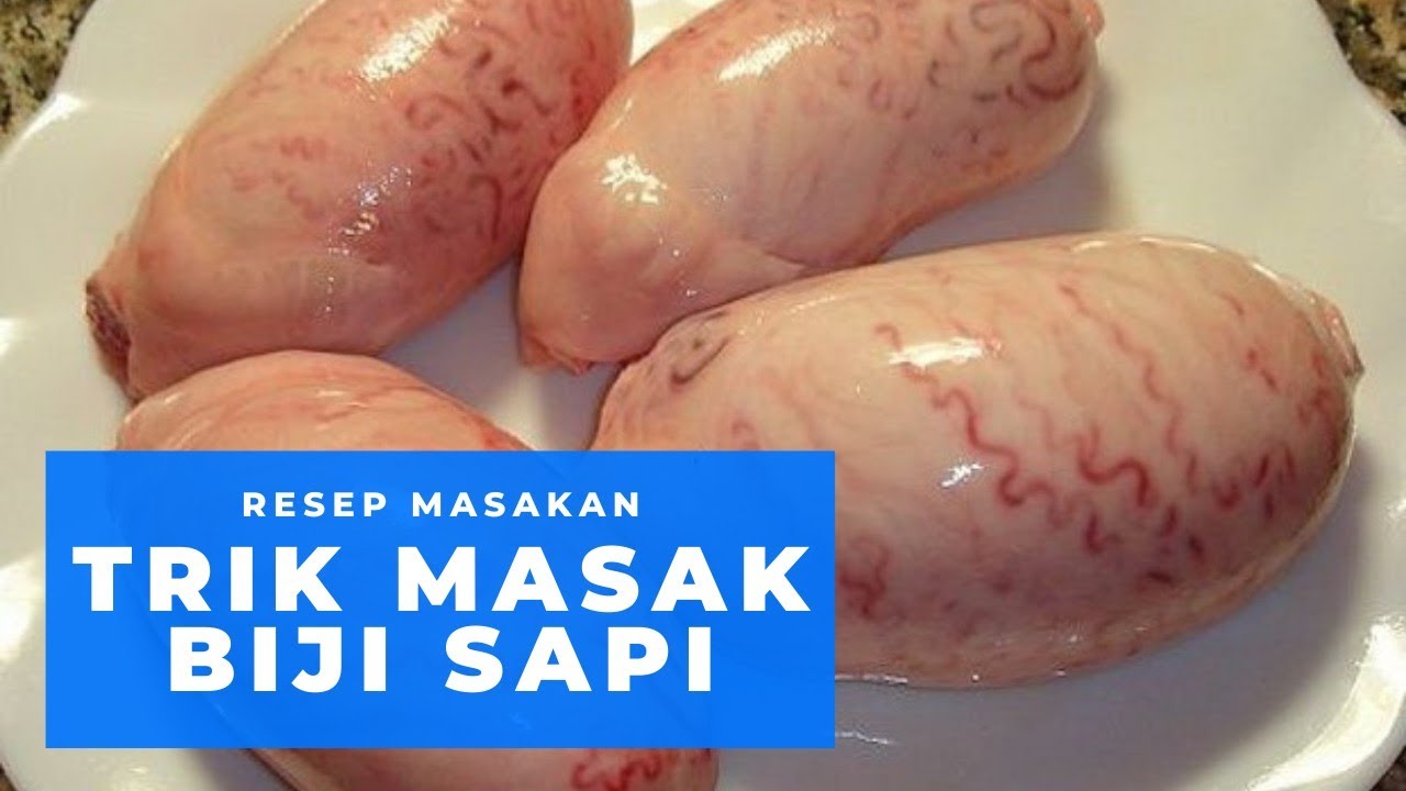 RESEP MASAK !! PERTAMA KALI MAKAN BIJI KELAMIN SAPI GIMANA RASANYA YA ...
