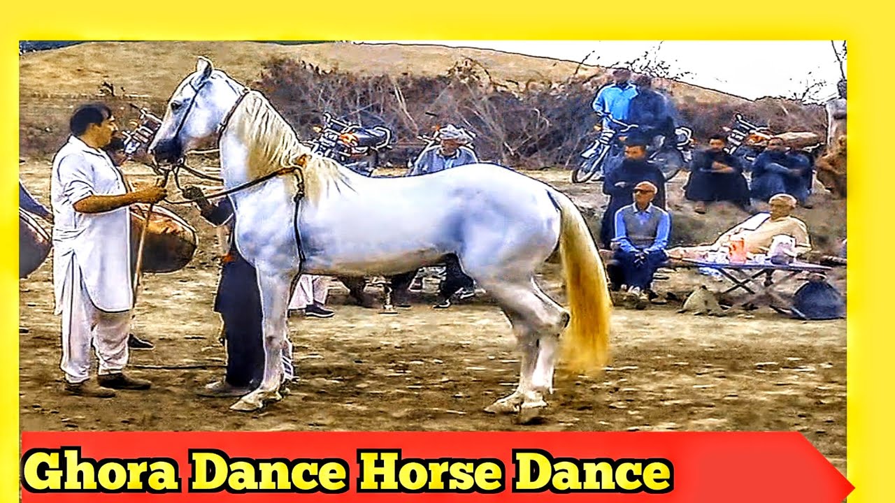 GHORA Dance LIKE You've NEVER Seen Before! Get Ready for the CRAZIEST ...