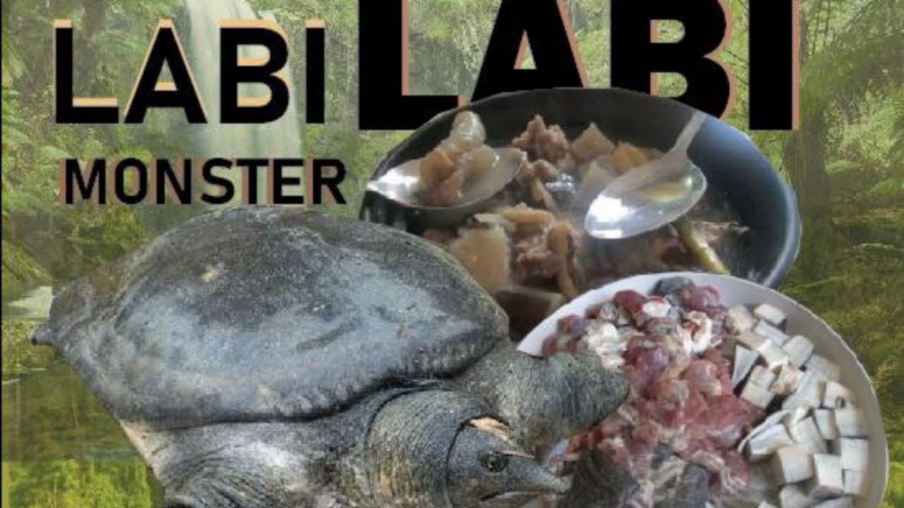 Masak labi-labi Sungai Julau,Cara Kampung yang Sedap!! - YouTube