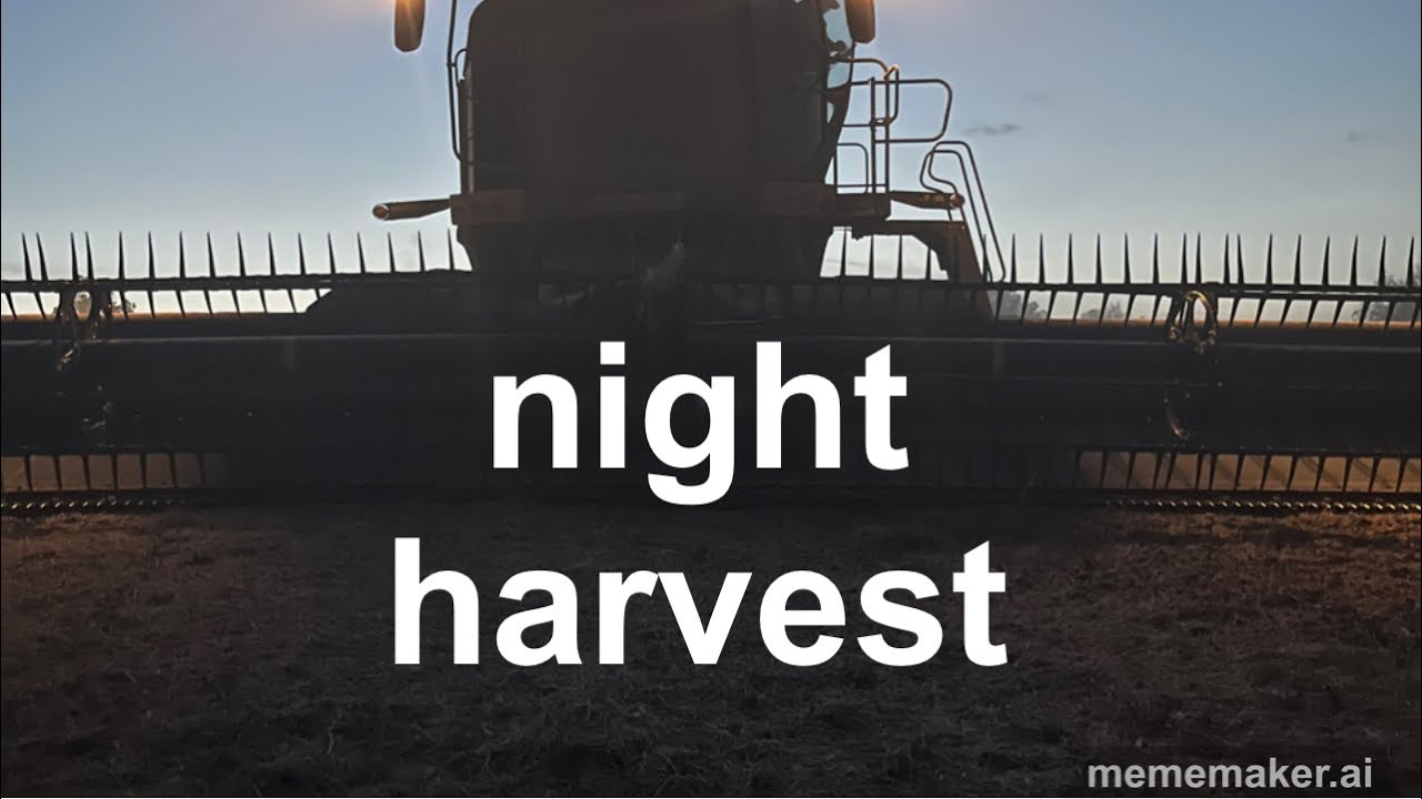Combing, and chatting at night - YouTube