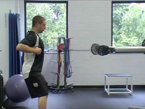 Standing Cable Row - YouTube