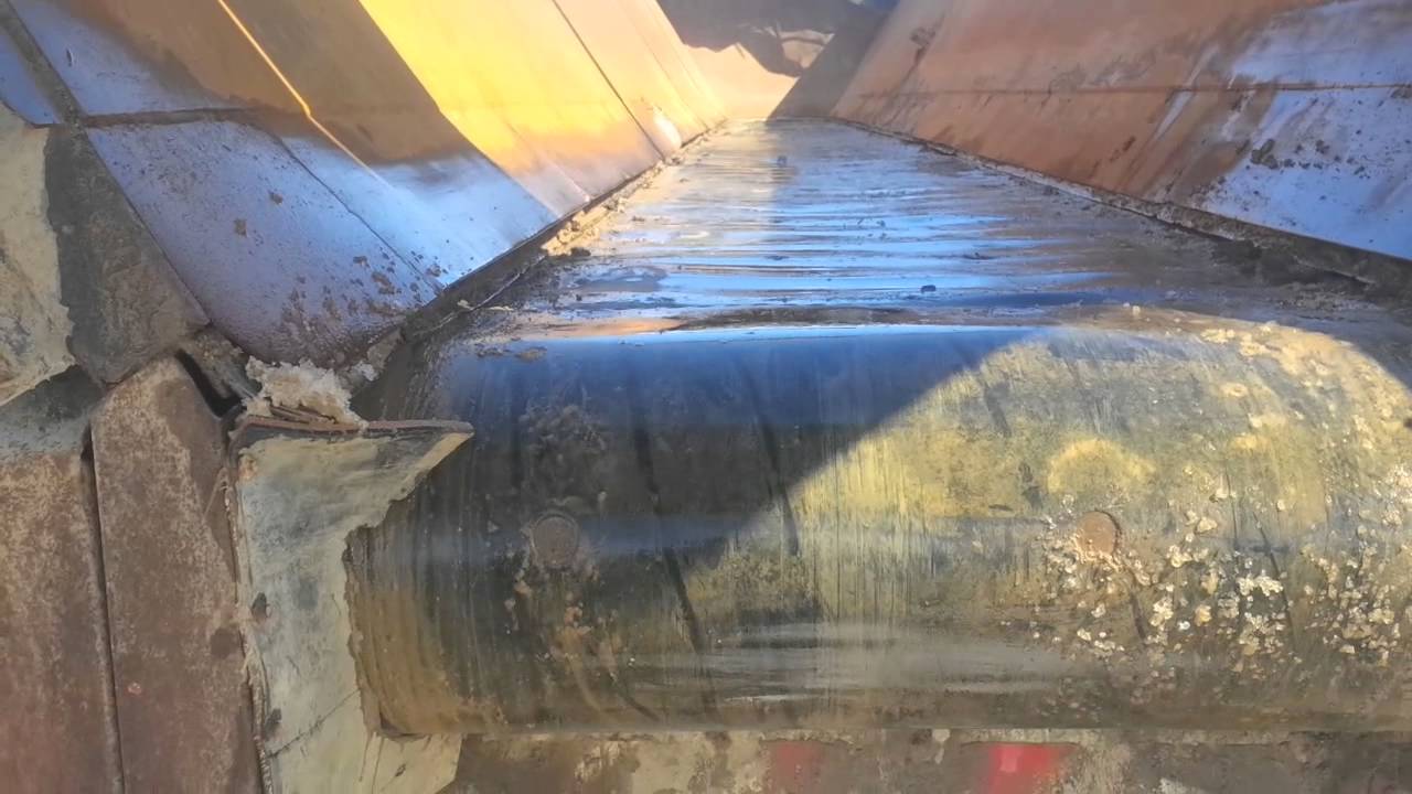 live bottom - YouTube