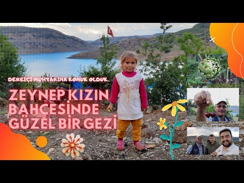 Zeynep Kızın Bahçesinde Güzel Bir Gezi - Dereiçi Muhtarıyla Köy Gezisi ve Enginar Yetiştiriciliği
