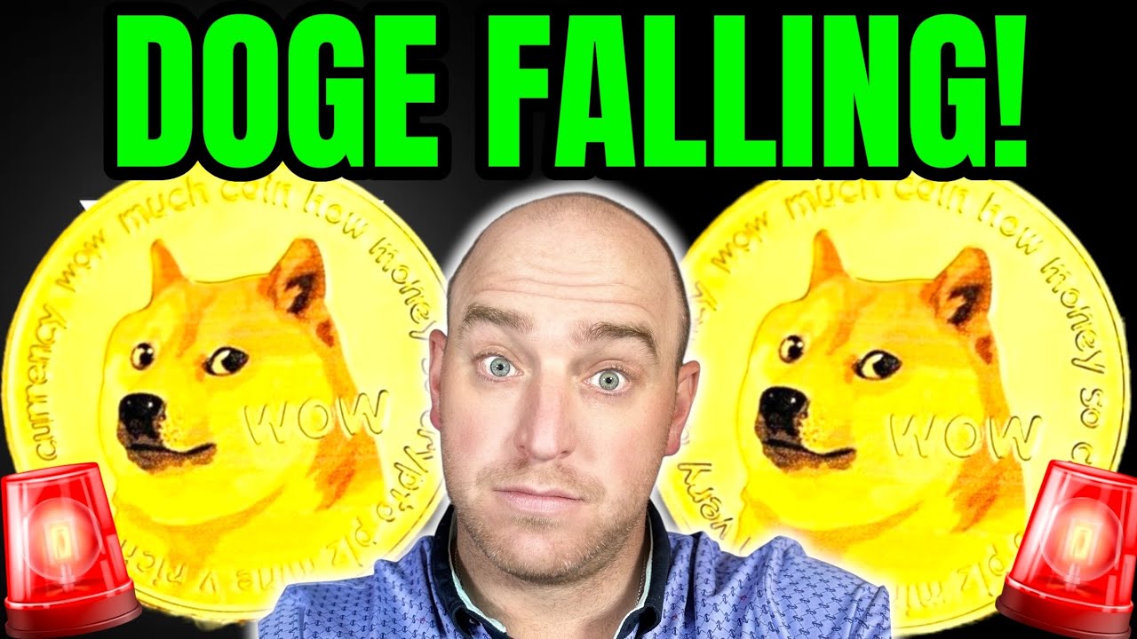 DOGECOIN NEWS TODAY - MASSIVE DOGE LIQUIDATIONS! - YouTube