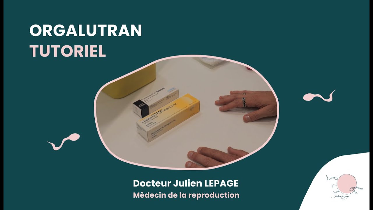 Comment utiliser l'Orgalutran ? (Tutoriel préparation et injection ...