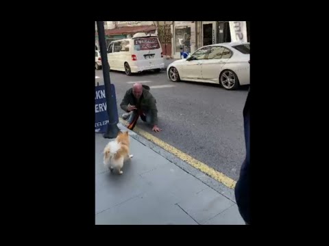 KÖPEĞİN HAVLAMASINA DAYANAMAYAN ADAM BAKIN NE YAPTI?