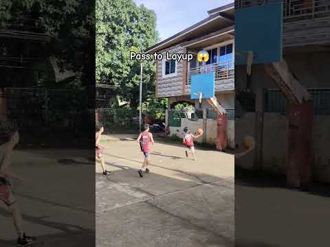 PASS TO LAYUP 😱 #basketball #highlights - YouTube