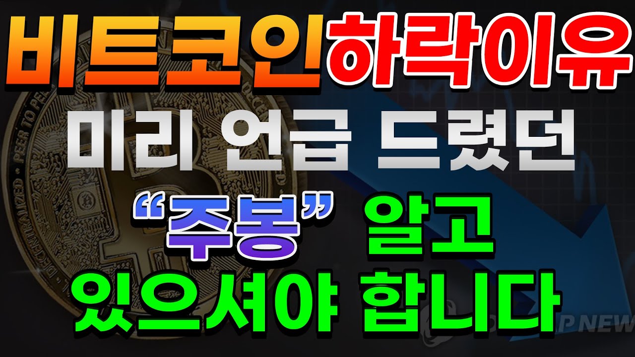 비트코인 하락 이유 주봉 알고 있으셔야 합니다 가장 중요한 구간 그리고 파워렛저 같은 알트추천 이더리움 리플코인 도지코인