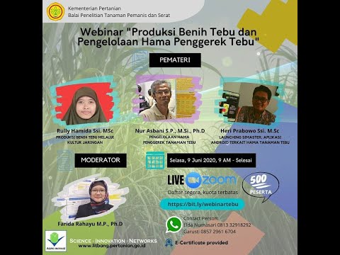 Webinar \