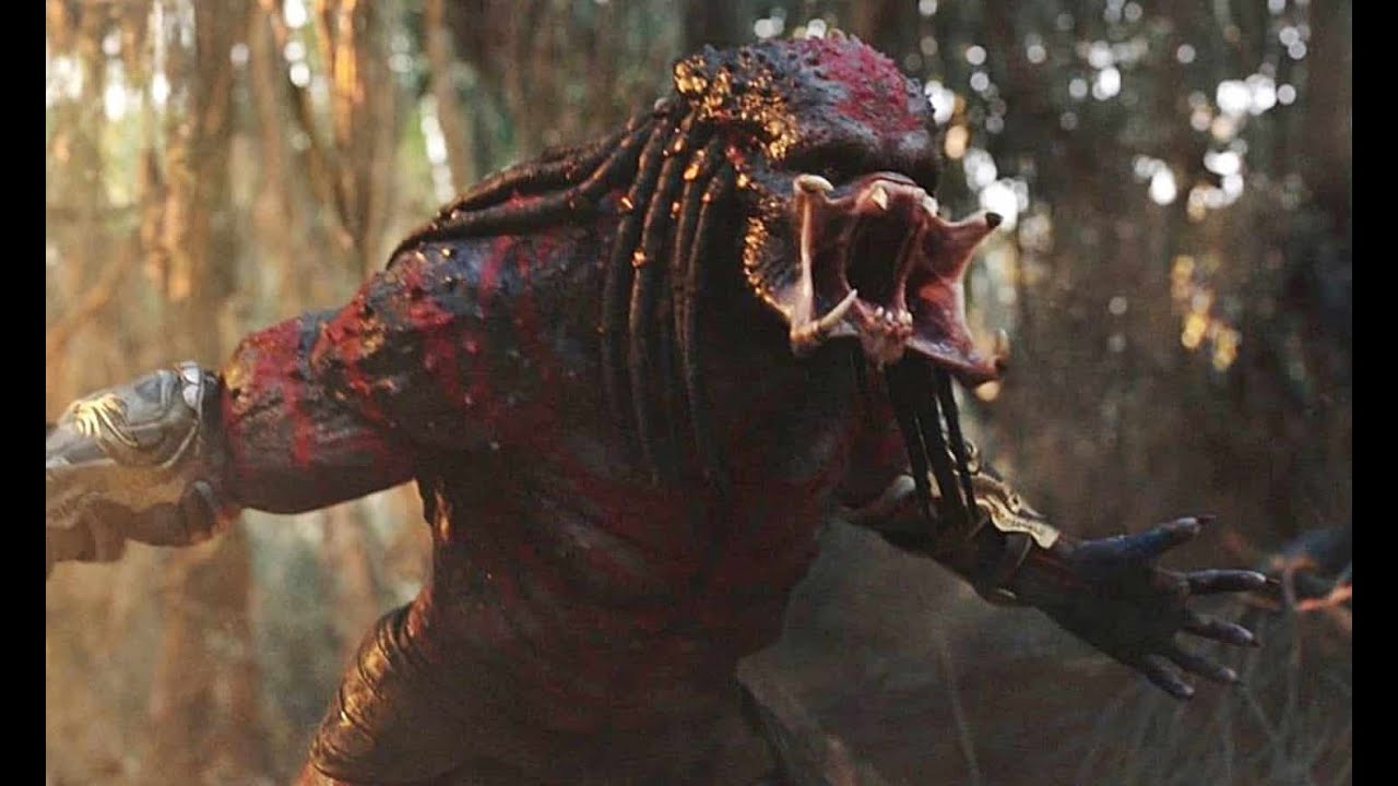 PREDATOR- EXPLAINED - YouTube