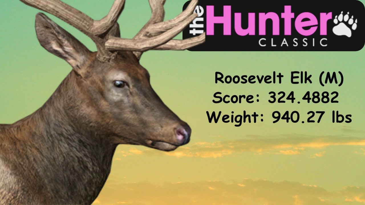 The Hunter Classic | Roosevelt Elk Gameplay | Score 324.4882 - YouTube