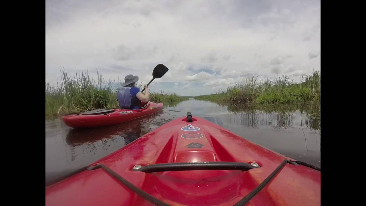 Geneva Swamp Explore - YouTube