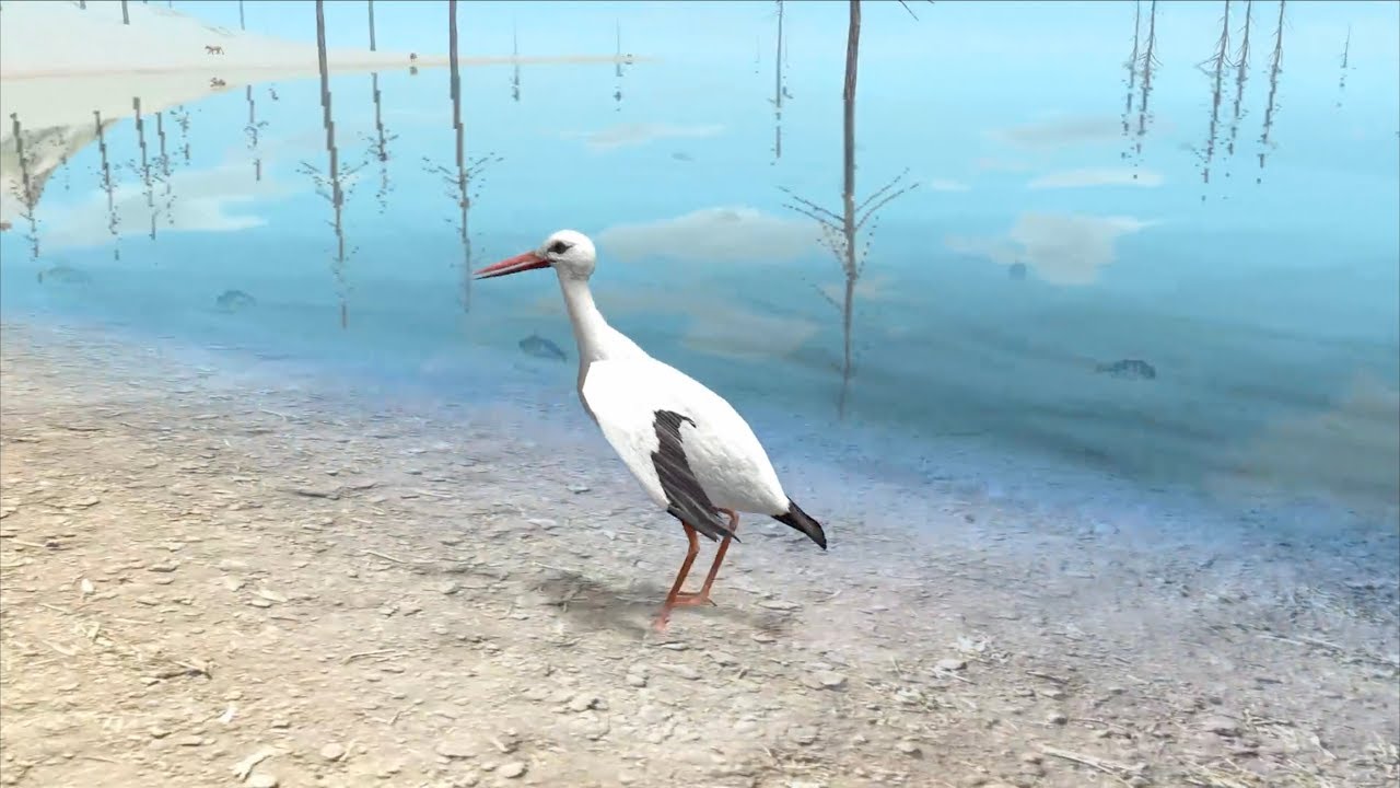 Stork Bird Simulator 3D Ultimate Bird Simulator By Gluten Free Classic ...