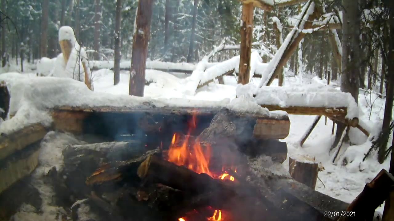 Burning firewood in the forest with sound. 20 minutes of relaxation ...