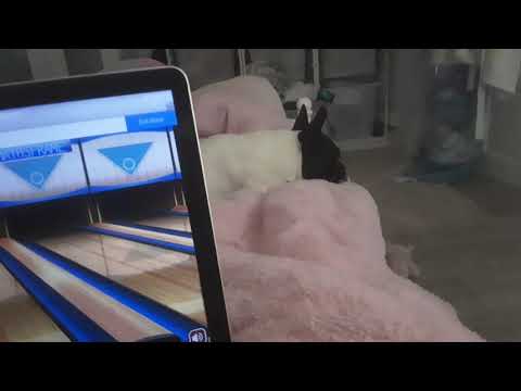 super maths bowling - YouTube