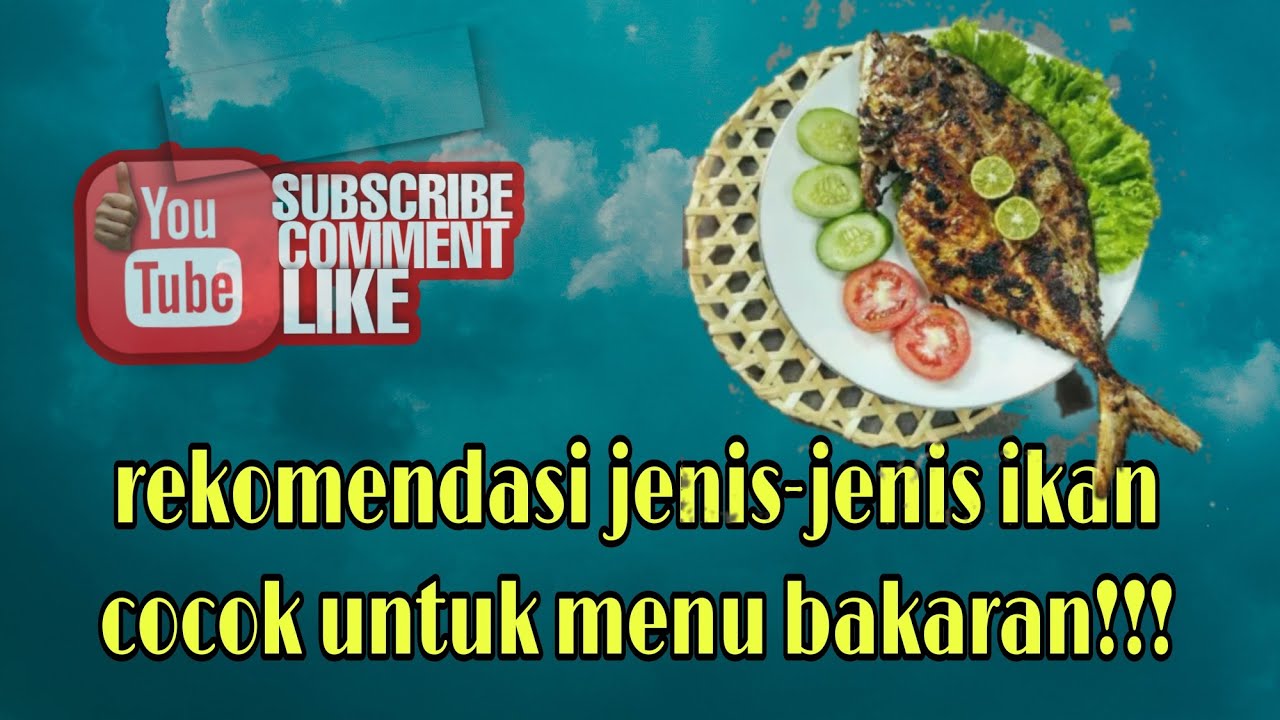 rekemomendasi jenis ikan yang cocok menu bakaran 2024 - YouTube