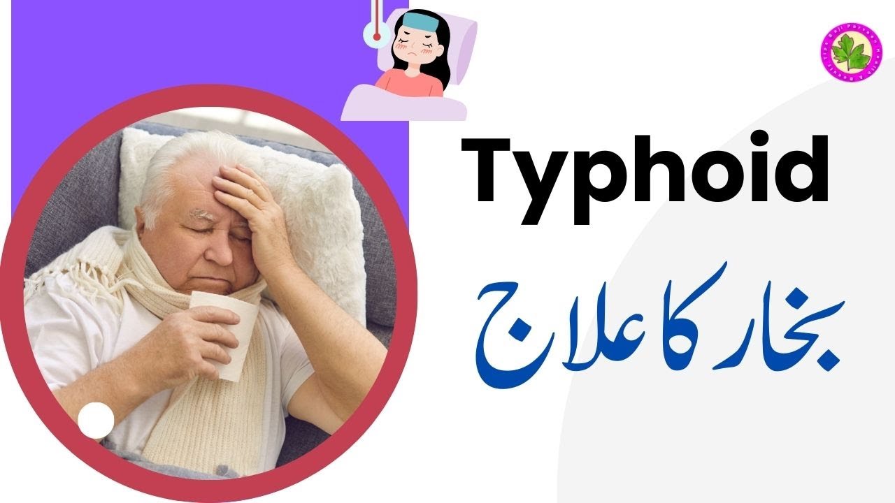 How is Typhoid Treated - Typhoid Fever Treatment - YouTube