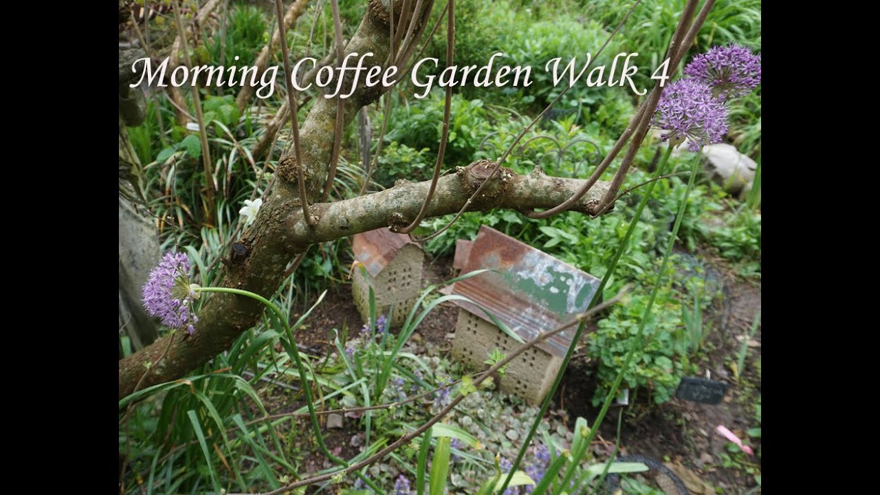 Morning Coffee Garden Walk 4/ - YouTube