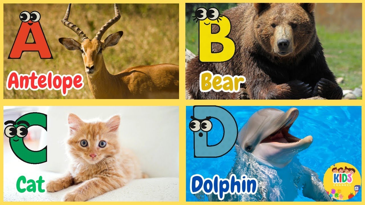 "ABC Animals for Kids | ABC for Children | A to Z Animals | Easy ABC ...