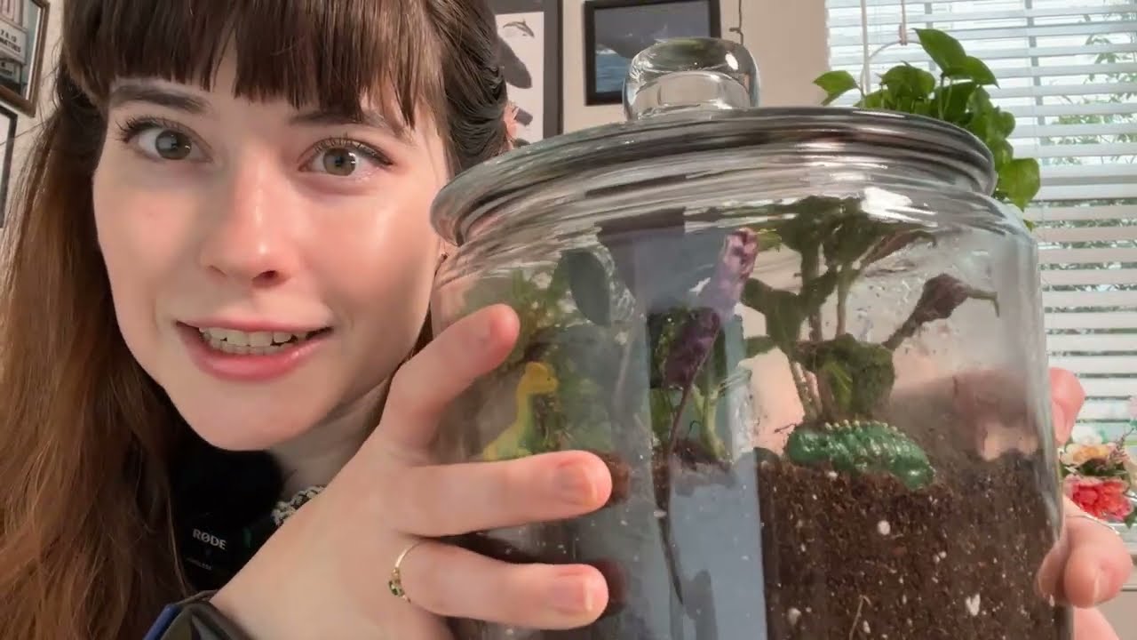 Let's Build a Mini Rainforest! - YouTube