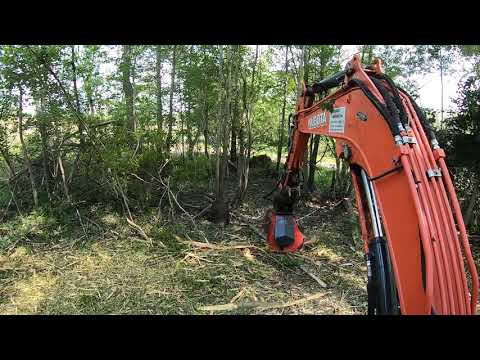 QUACK, QUACK, BOOM! Mulching A Duck Impoundment With The Prinoth M450e-900